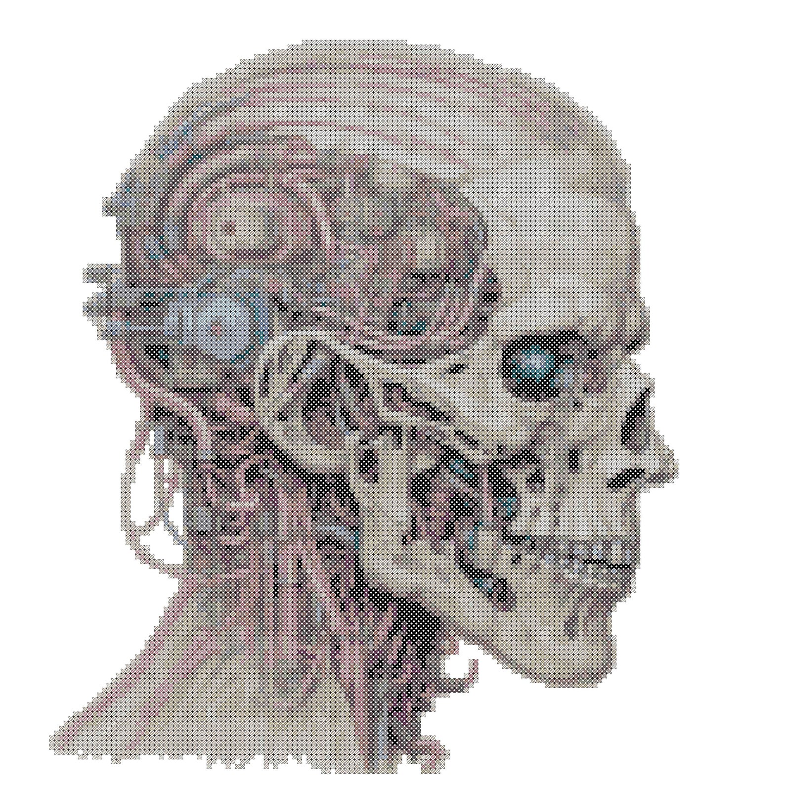 Biological Illustration of a Terminator T-800 Cross Stitch Pattern PDF ...