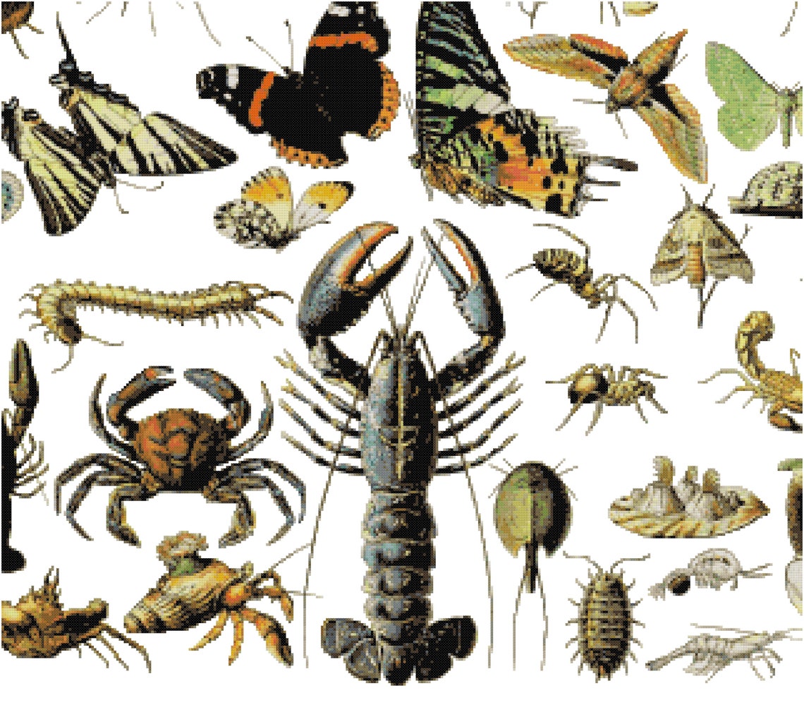 Arthropod Sampler Cross Stitch Pattern PDF Large Poster Size - Etsy