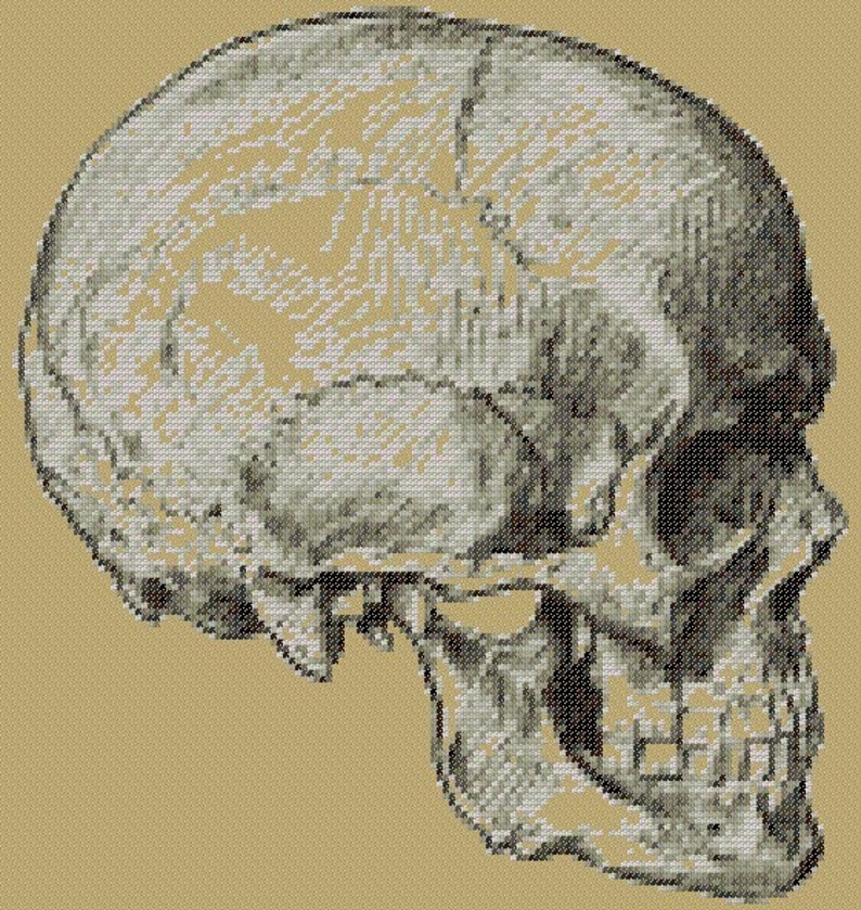 Human Skull Digital Cross Stitch Pattern PDF Chart Download - Etsy