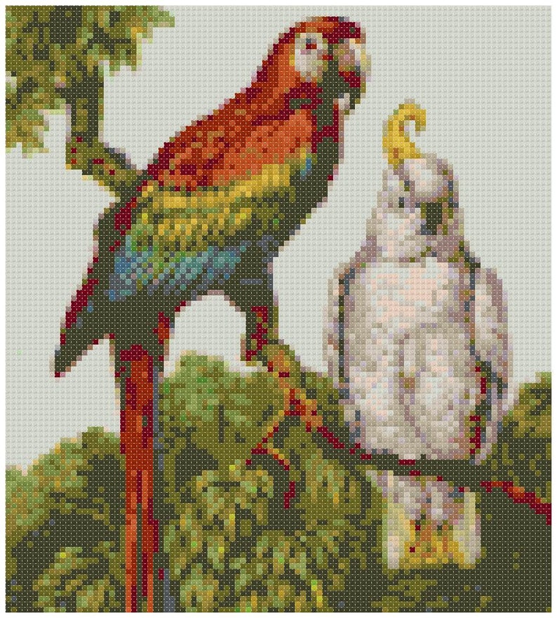 Macaw & Cockatoo Bird Cross Stitch Pattern PDF Digital Download Modern ...