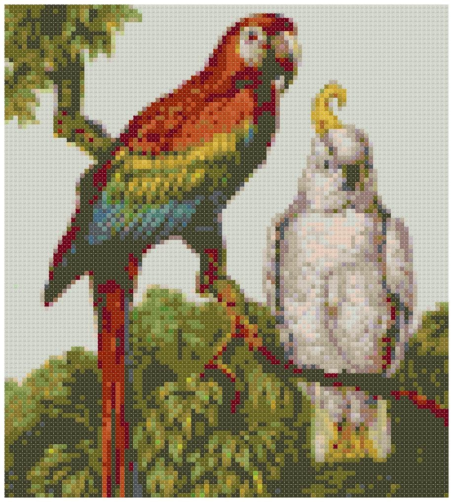 Macaw & Cockatoo Bird Cross Stitch Pattern PDF Digital Download Modern ...