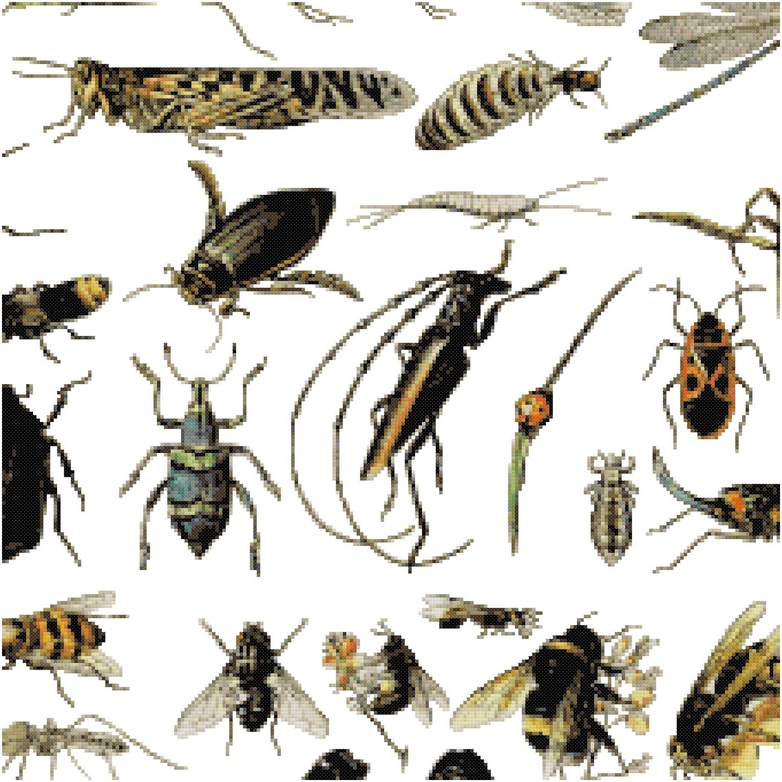 Arthropod Sampler Cross Stitch Pattern PDF Chart | Large Poster Size ...
