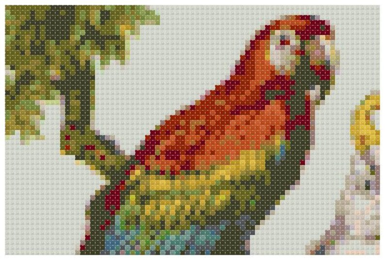 Macaw & Cockatoo Bird Cross Stitch Pattern PDF Digital Download Modern ...