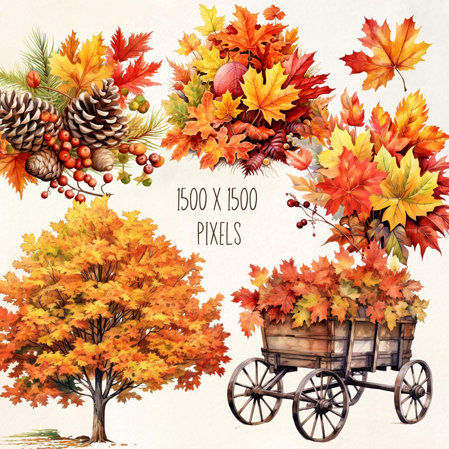 Autumn Leaves Clipart Bundle, Watercolor Fall Graphics, Leaf Clip Art ...