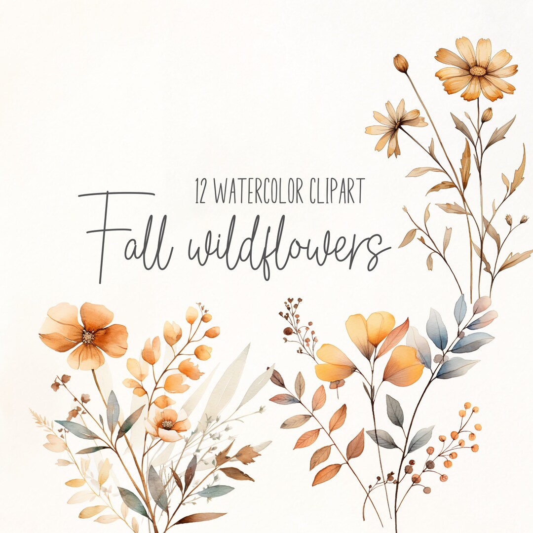 Watercolor Wildflower Png Clipart, Botanical Bundle, Pressed Flower ...