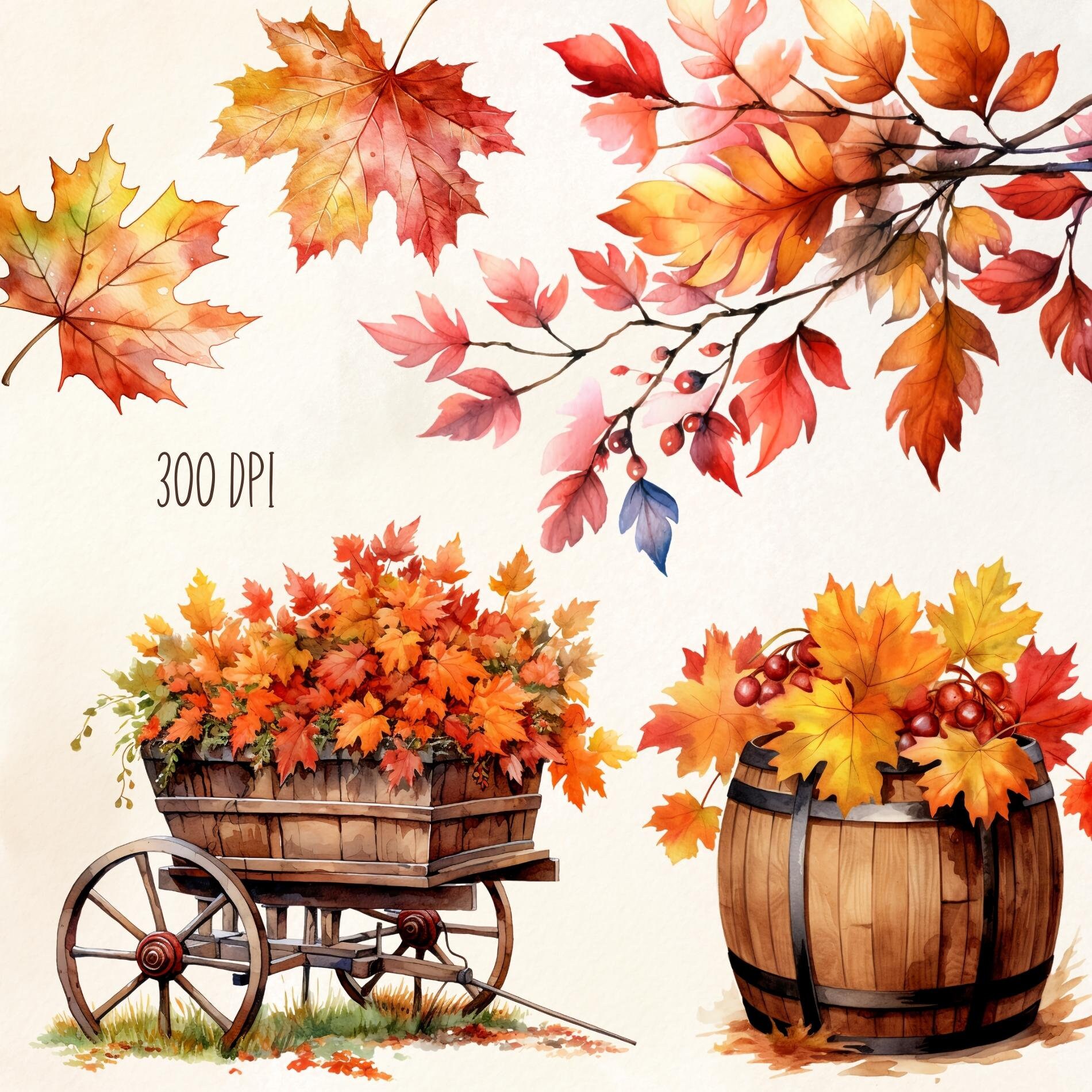 Autumn Leaves Clipart Bundle, Watercolor Fall Graphics, Leaf Clip Art ...