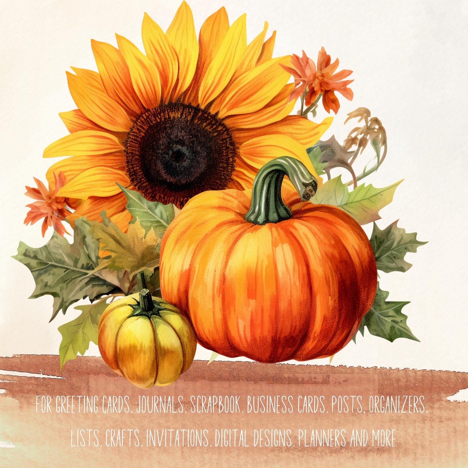 Pumpkin Clipart, Flowers Clipart, Watercolor Illustration, Commercial ...