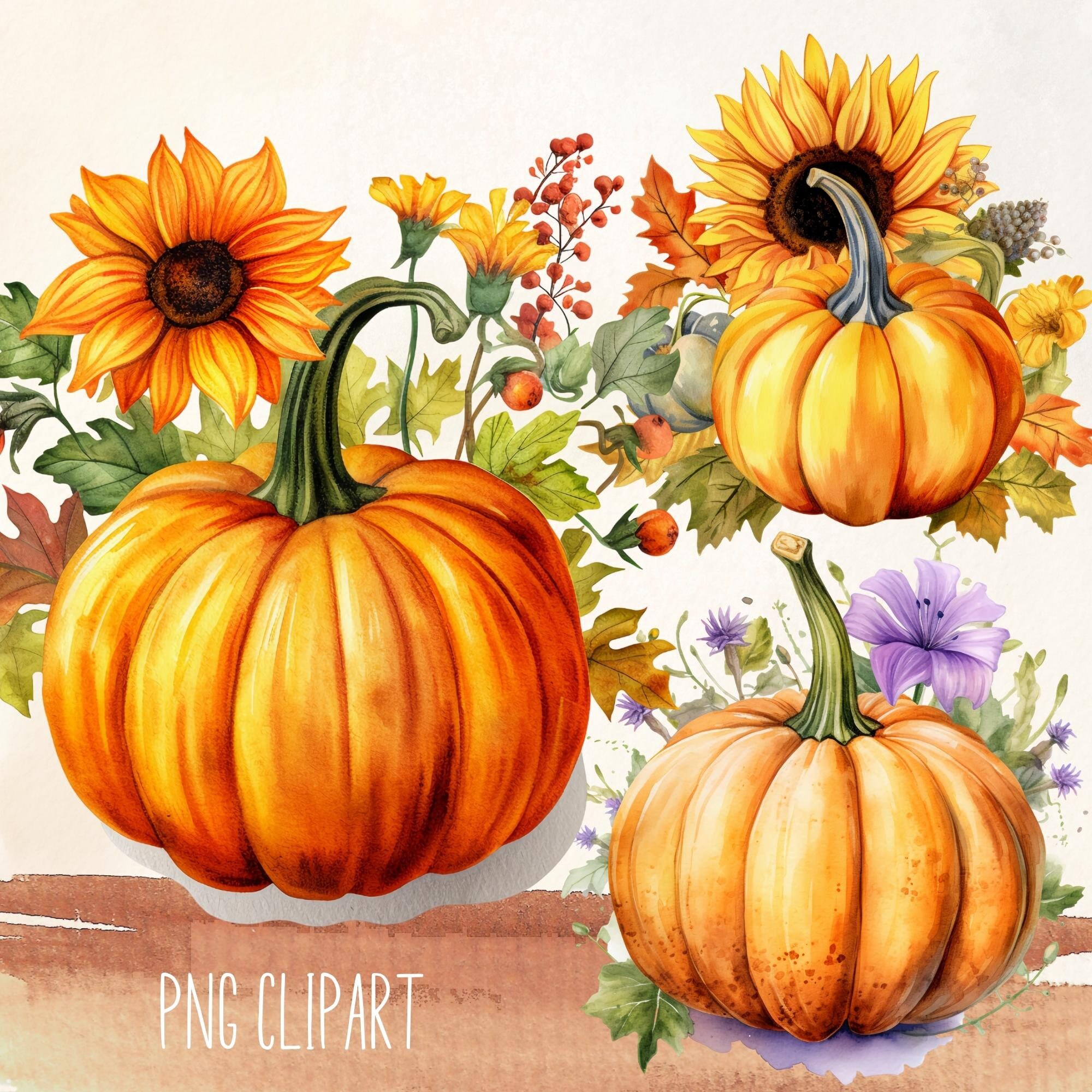 Pumpkin Clipart, Flowers Clipart, Watercolor Illustration, Commercial ...