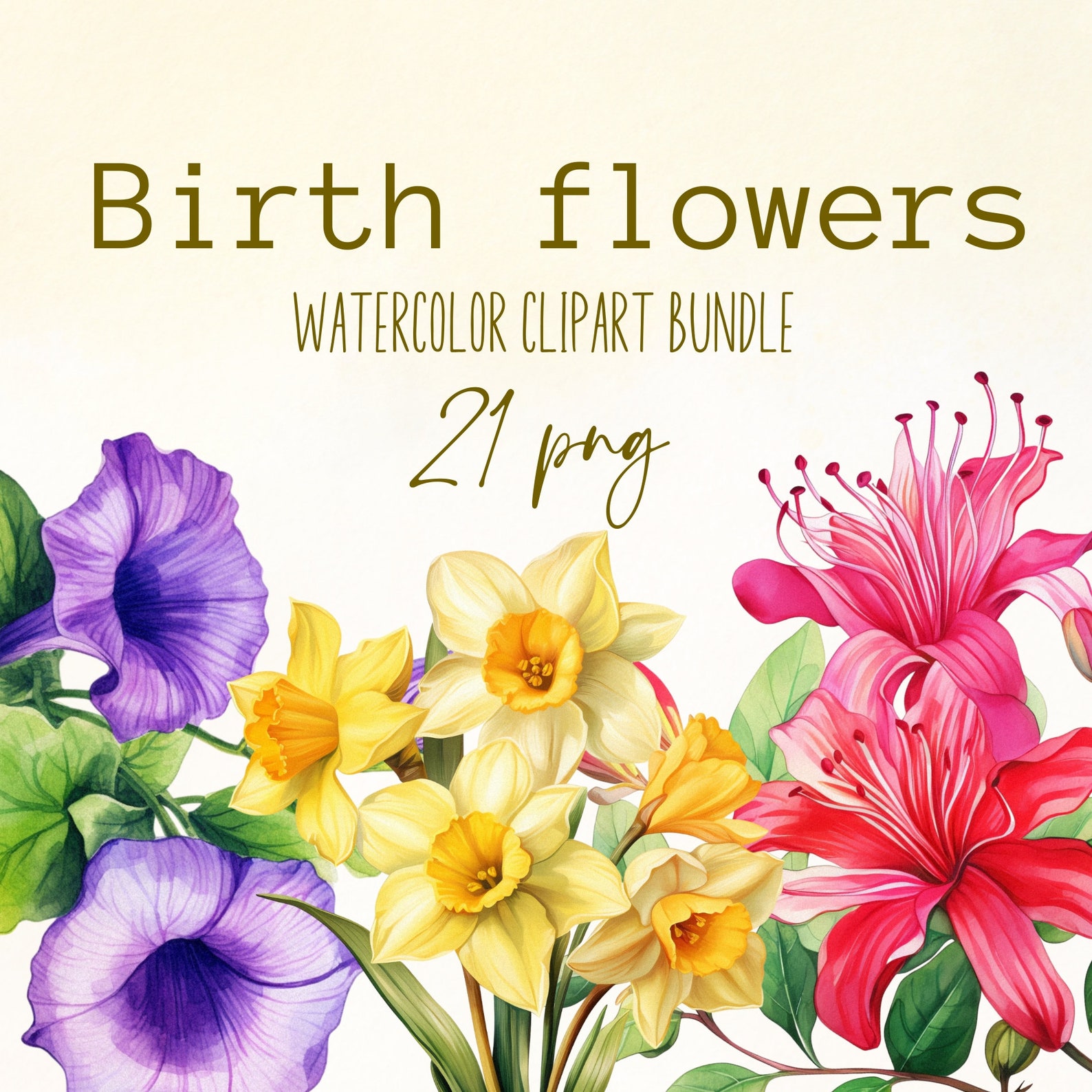 Birth Flower Clipart Bundle Birthflower Png Birthmonth - Etsy