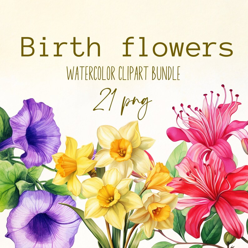 Birth Flower Clipart Bundle, Birthflower Png, Birthmonth Flowers Clip ...