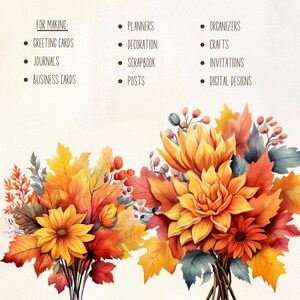 Autumn Leaves Clipart Bundle, Watercolor Fall Graphics, Leaf Clip Art ...