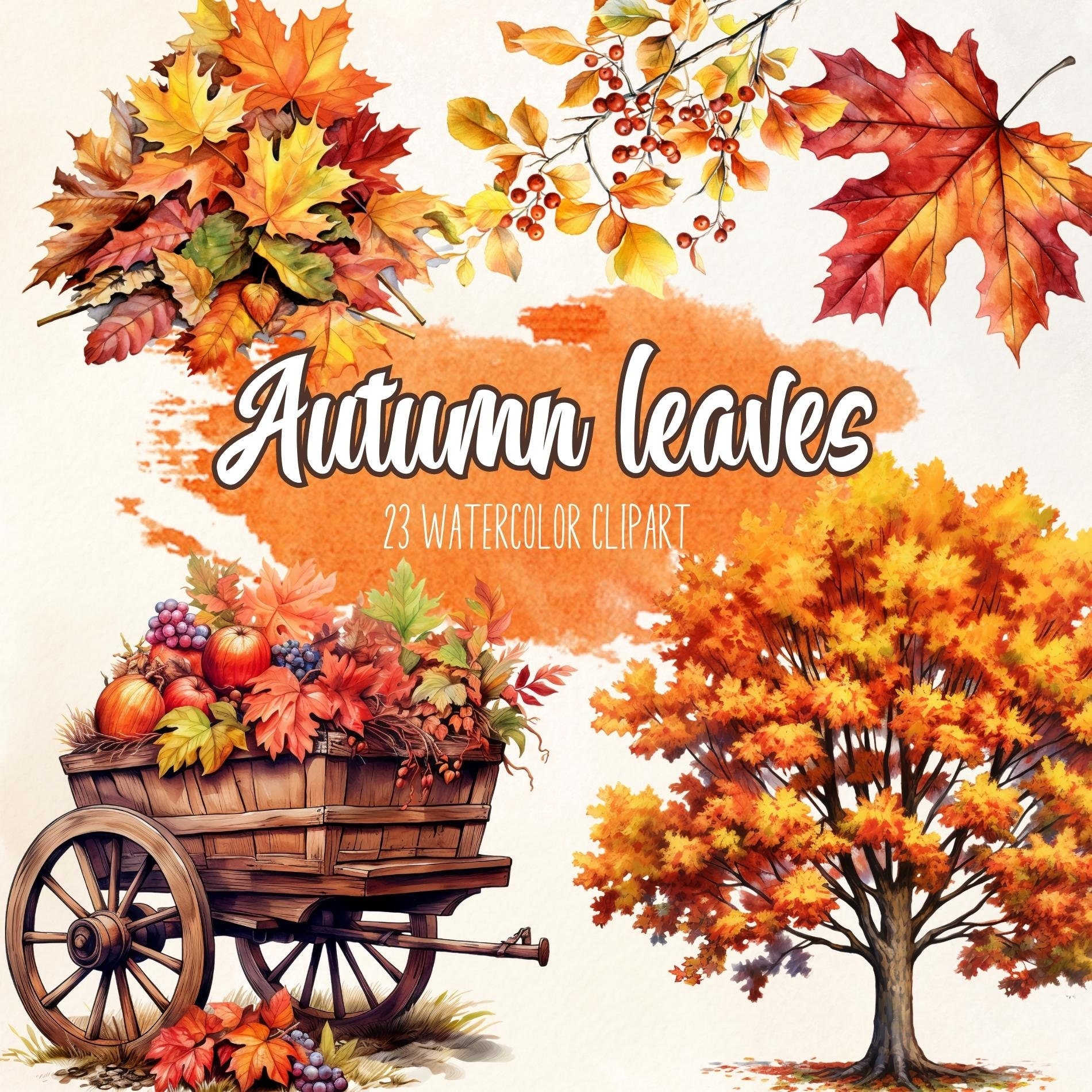 Autumn Leaves Clipart Bundle, Watercolor Fall Graphics, Leaf Clip Art ...