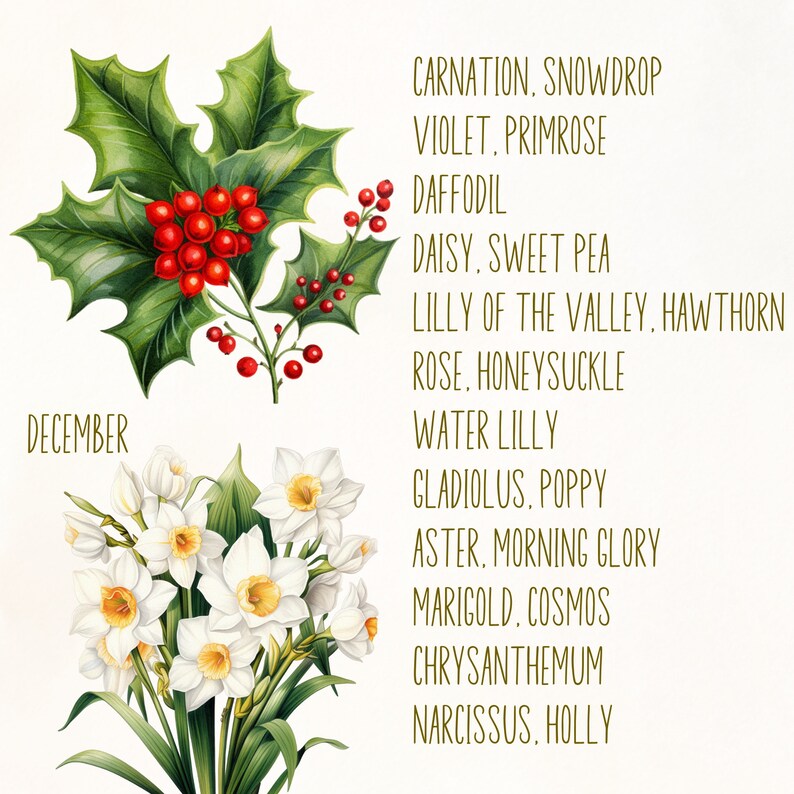 Birth Flower Clipart Bundle, Birthflower Png, Birthmonth Flowers Clip ...