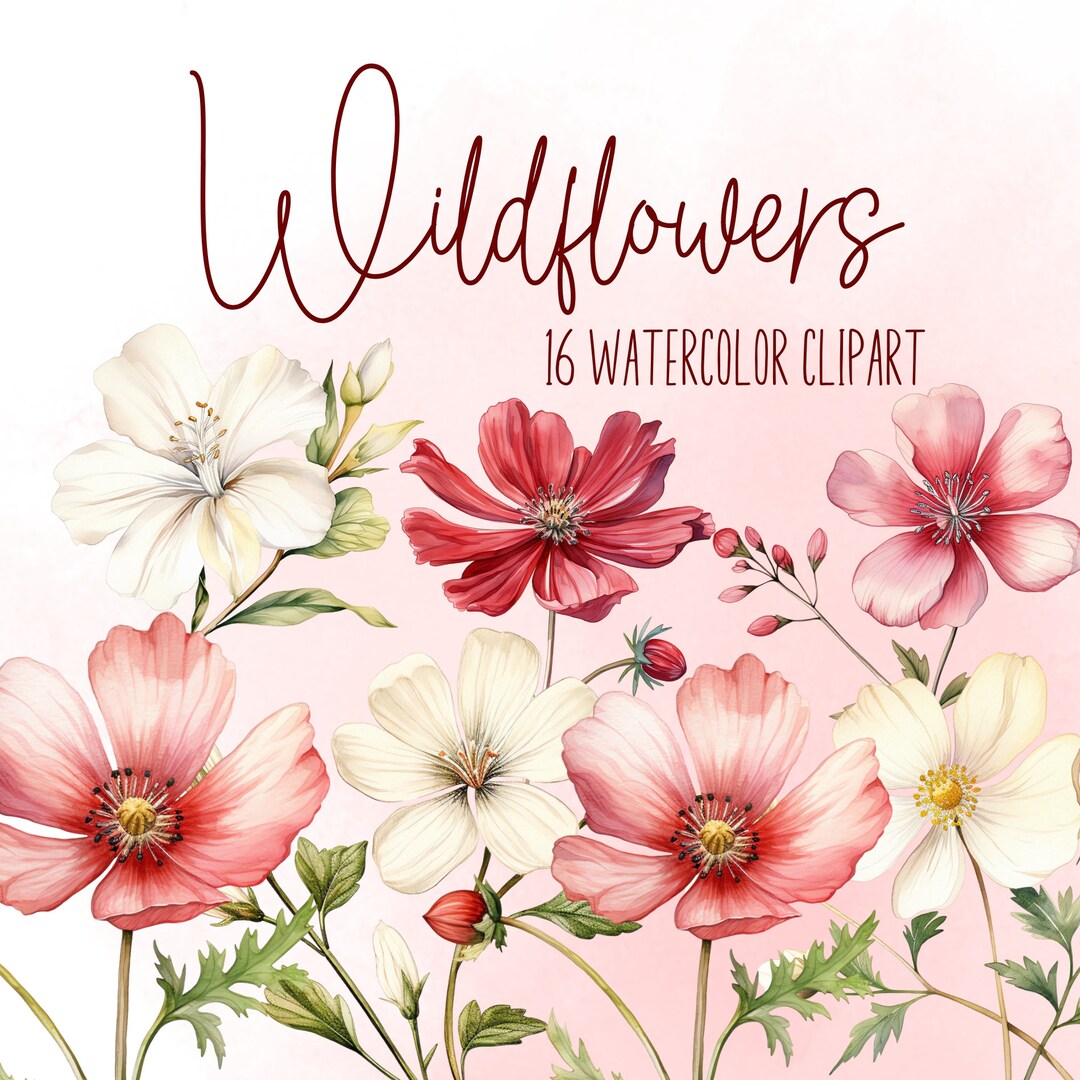 Watercolor Wildflower Clipart Bundle, Botanical Wild Flower Png ...