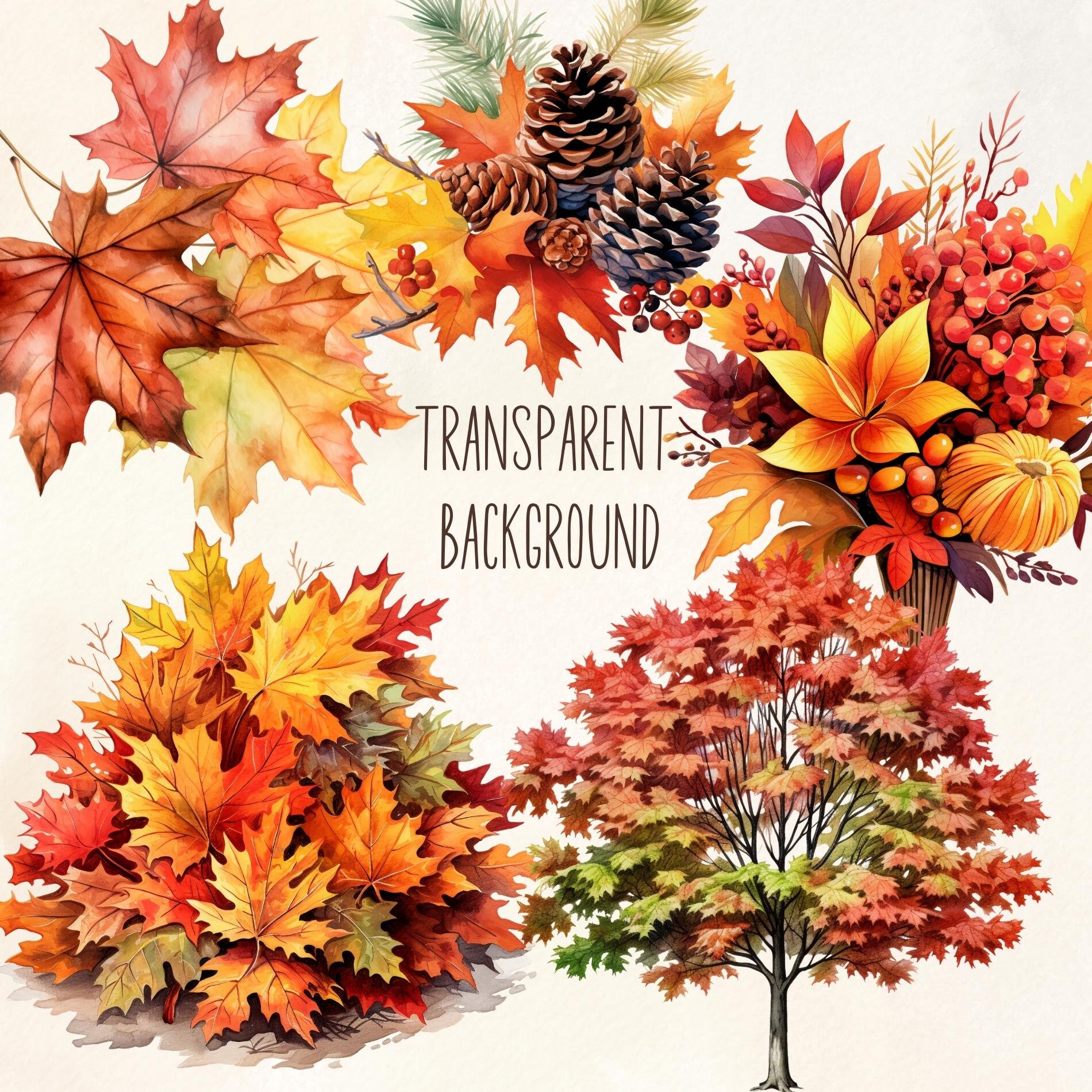 Autumn Leaves Clipart Bundle, Watercolor Fall Graphics, Leaf Clip Art ...