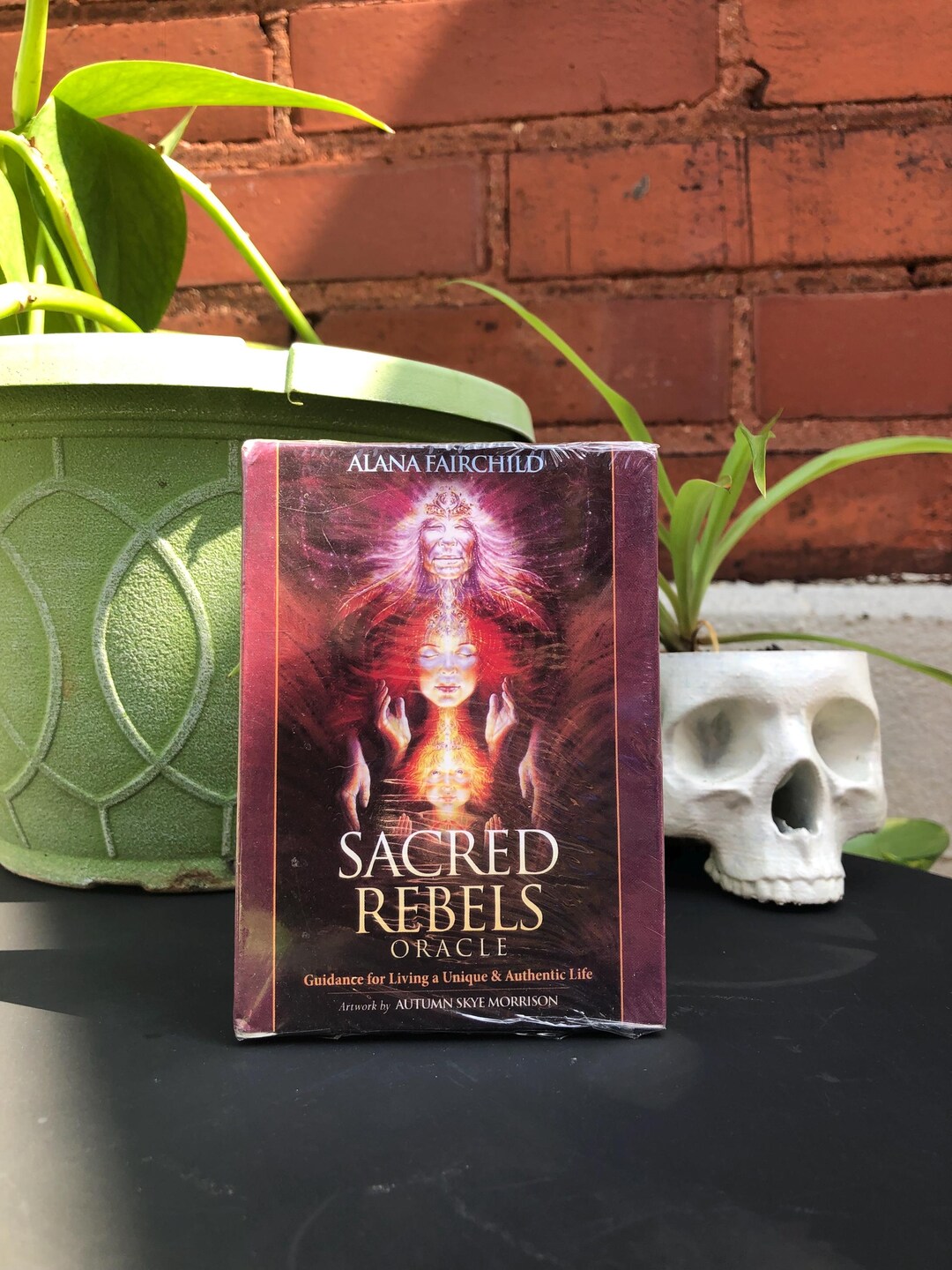 Beginner Tarot Cards With Eguidebook - Sacred Rebels Tarot - Etsy Canada