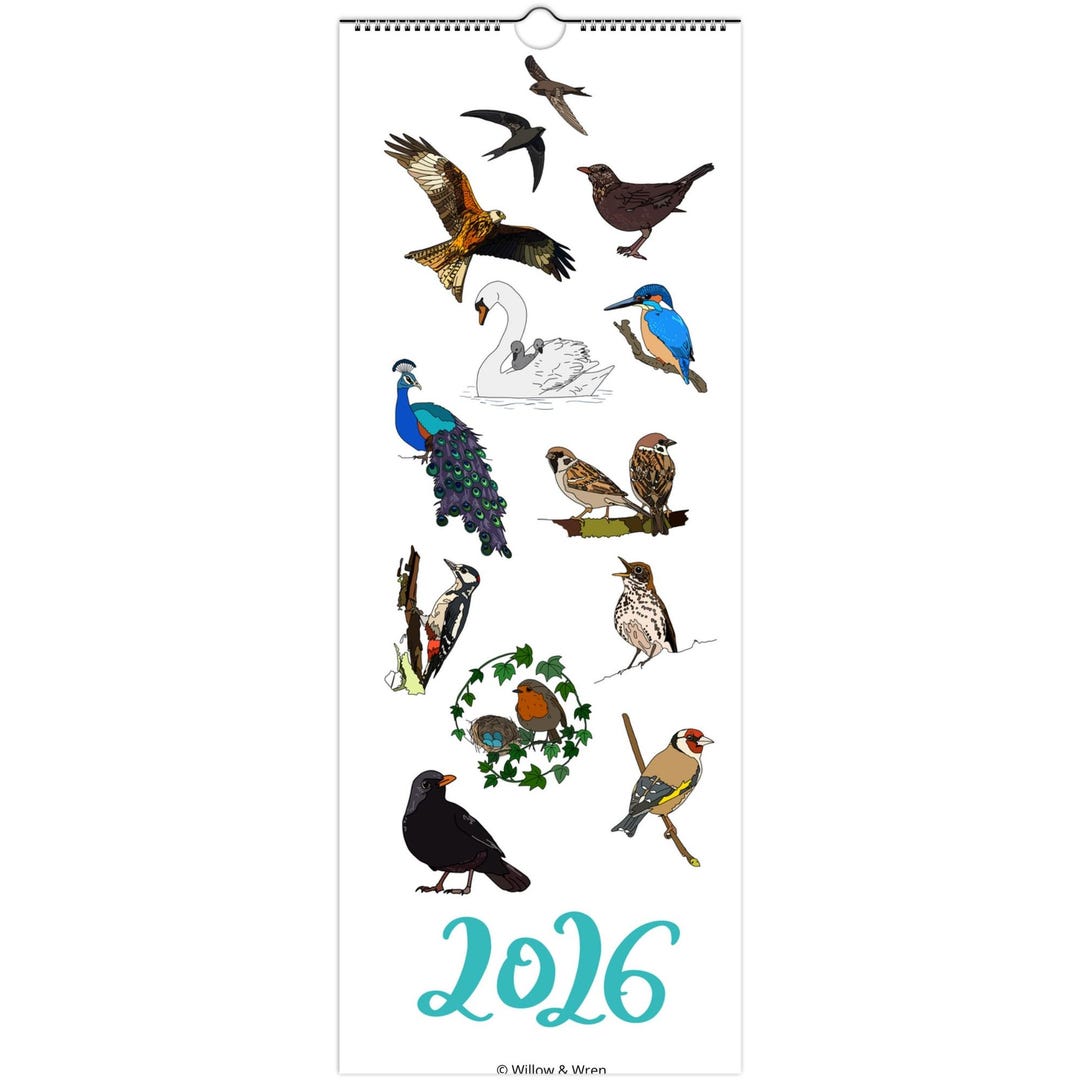 Birds Wall Calendar 2026 - Etsy