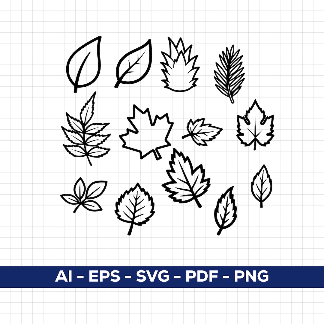 Leaf Leaves Outlines Bundle | Svg Png Eps Pdf | Vector Graphic Design ...