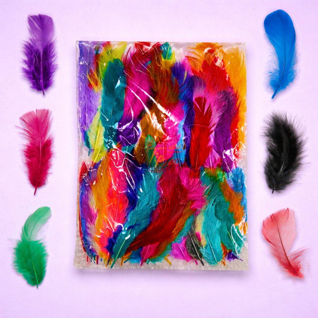 Colorful Craft Feathers Pack – Mixed Dyed Feathers for DIY Jewelry ...