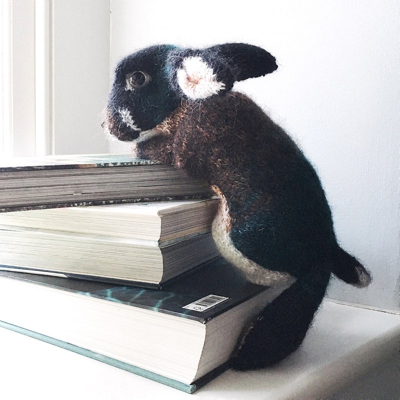 Rex Rabbit Knit Scarf - Etsy