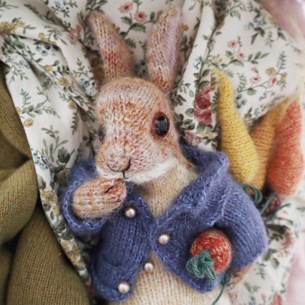 Peter Rabbit Pattern - Etsy