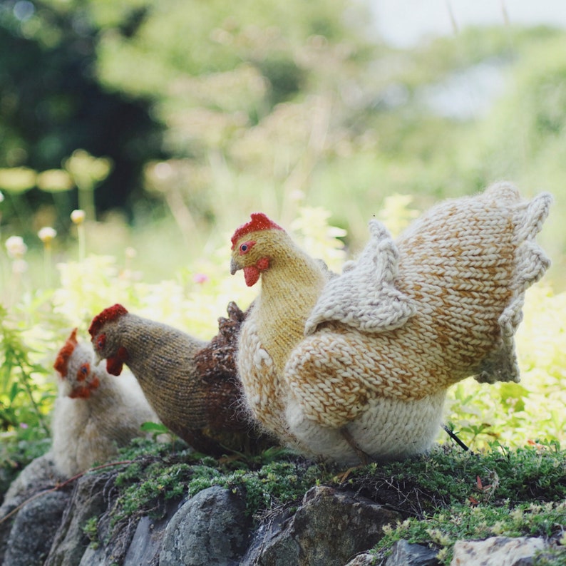 KNITTING PATTERN Hen - Etsy