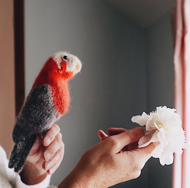 PARROT - Knitting Pattern - Etsy UK