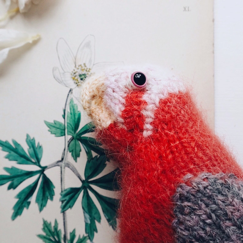 PARROT Knitting Pattern - Etsy UK