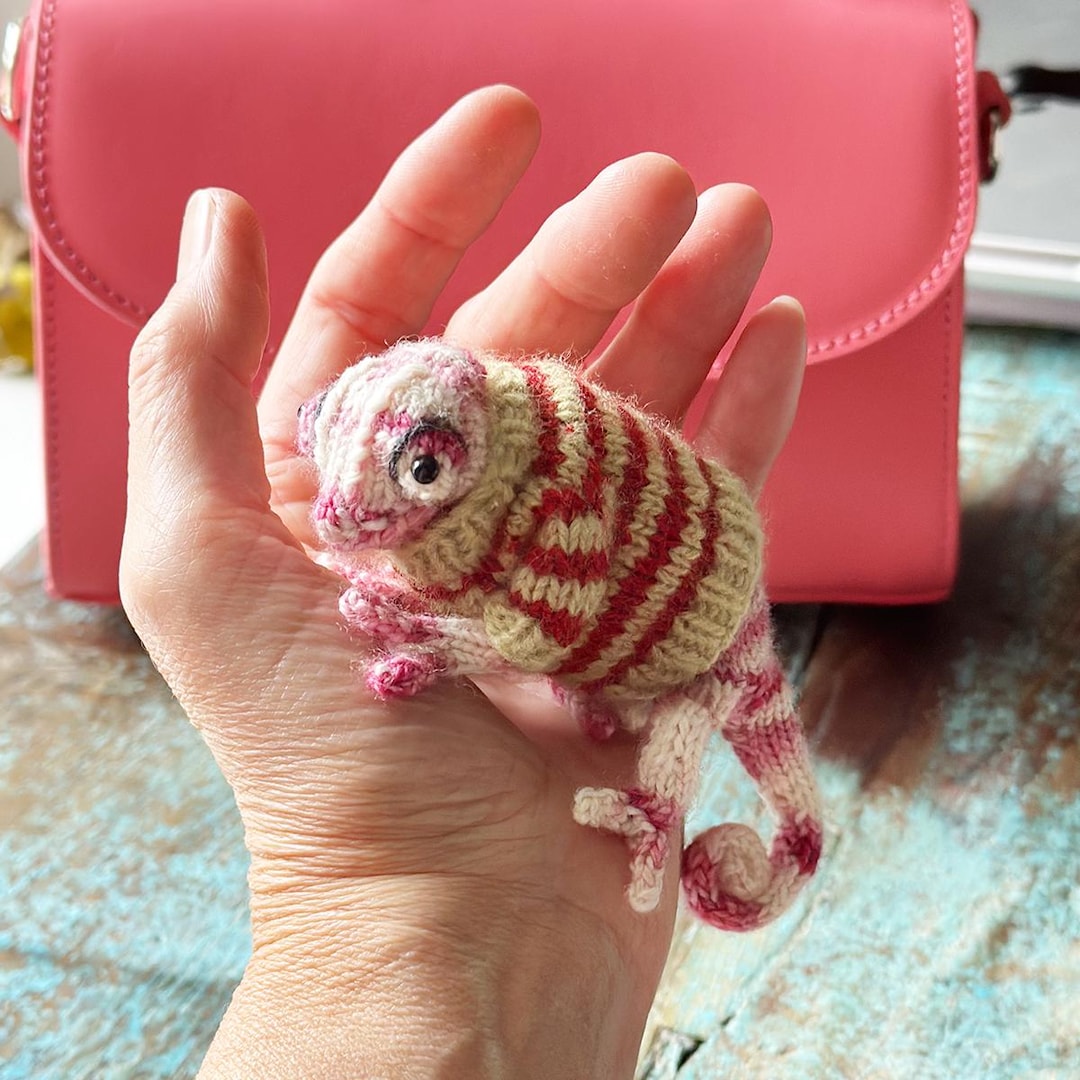 CHAMELEON & SWEATER - English Knitting Pattern - Etsy
