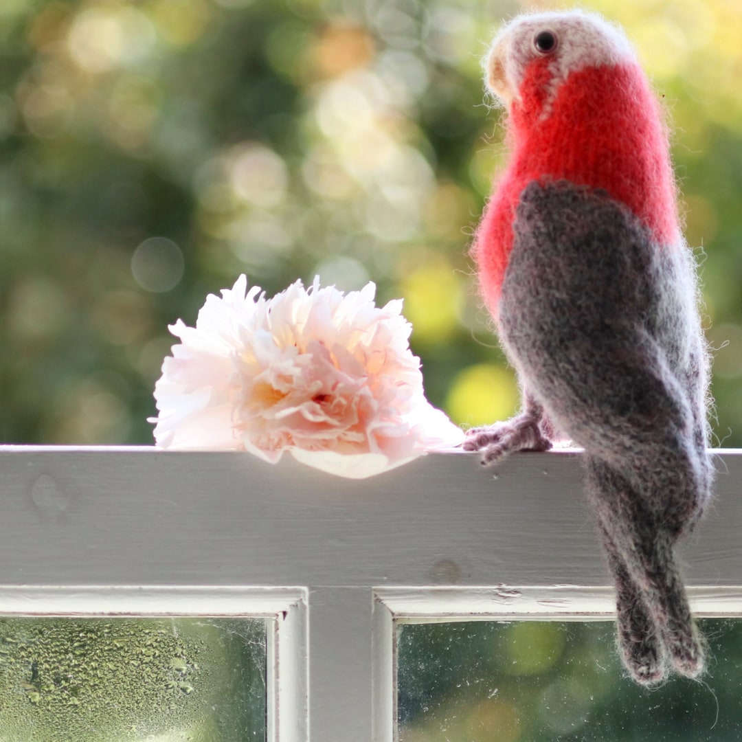 PARROT - Knitting Pattern - Etsy UK