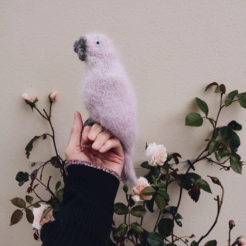 PARROT Knitting Pattern - Etsy UK