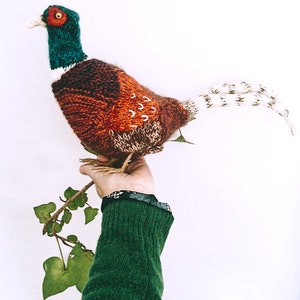 KNITTING PATTERN - Pheasant - Etsy