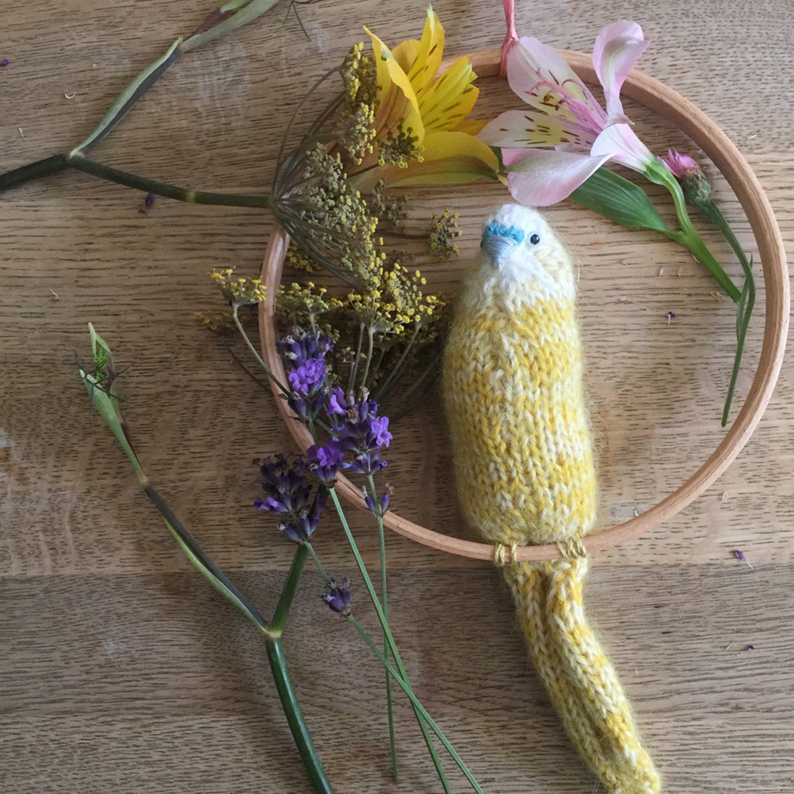KNITTING PATTERN Budgerigar - Etsy