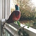 KNITTING PATTERN - Pheasant - Etsy