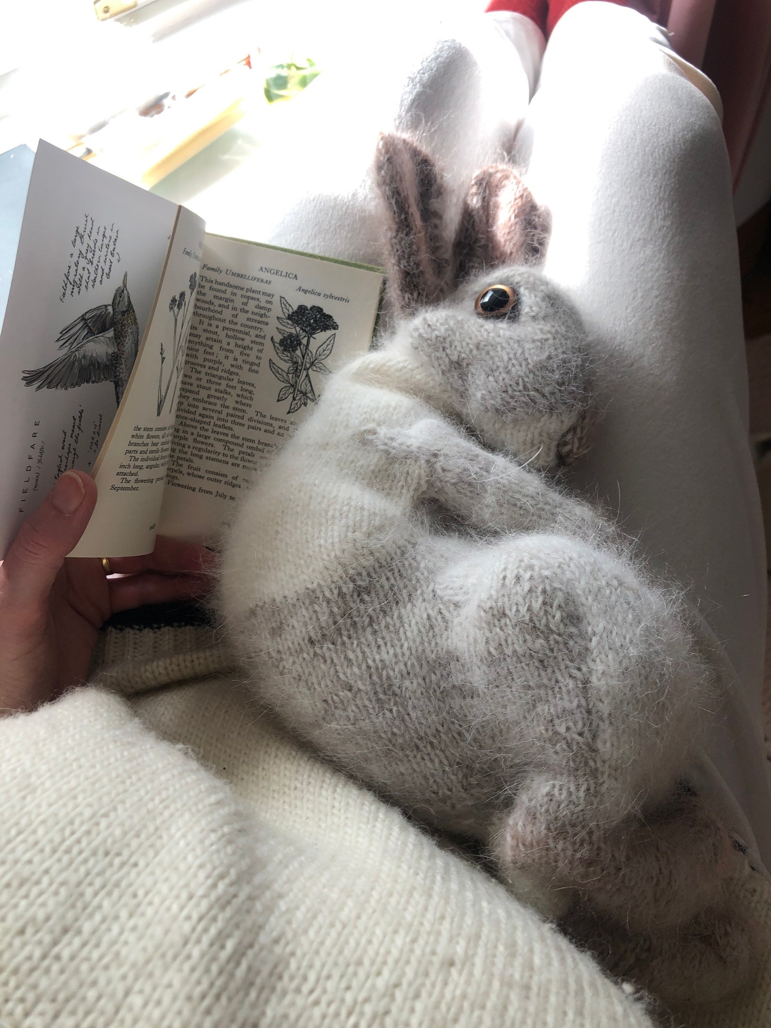 KNITTING PATTERN Snowshoe Hare | Etsy