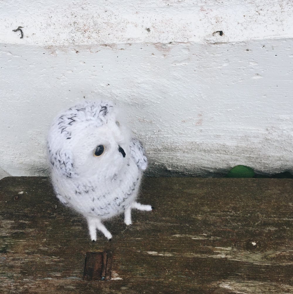 SPECIAL OFFER Knitting Pattern Snowy Owl | Etsy UK