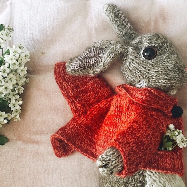 Peter Rabbit Pattern - Etsy