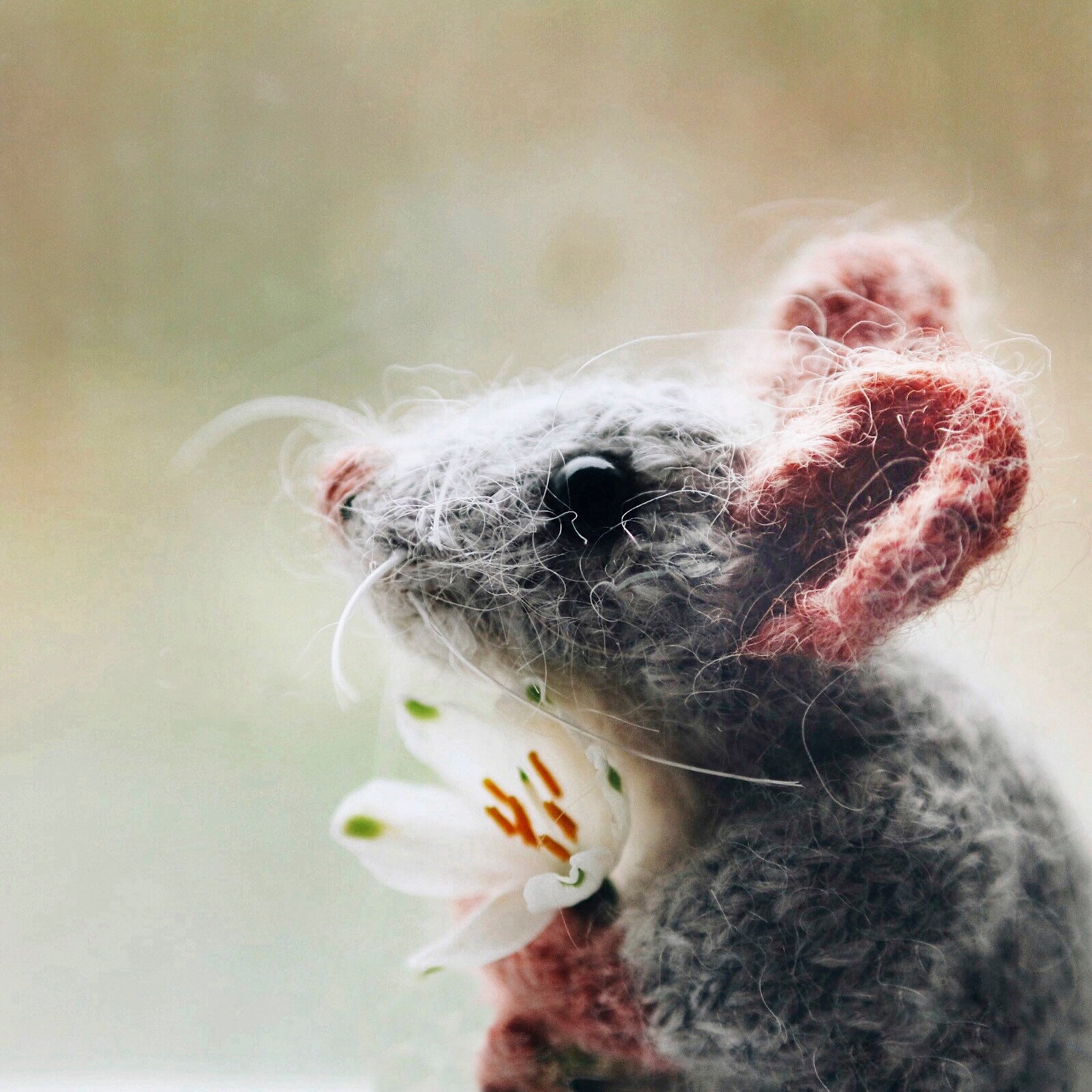 Mouse in a Sweater KNITTING PATTERN | Etsy Denmark