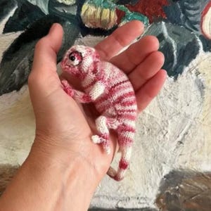 CHAMELEON & SWEATER - English Knitting Pattern - Etsy