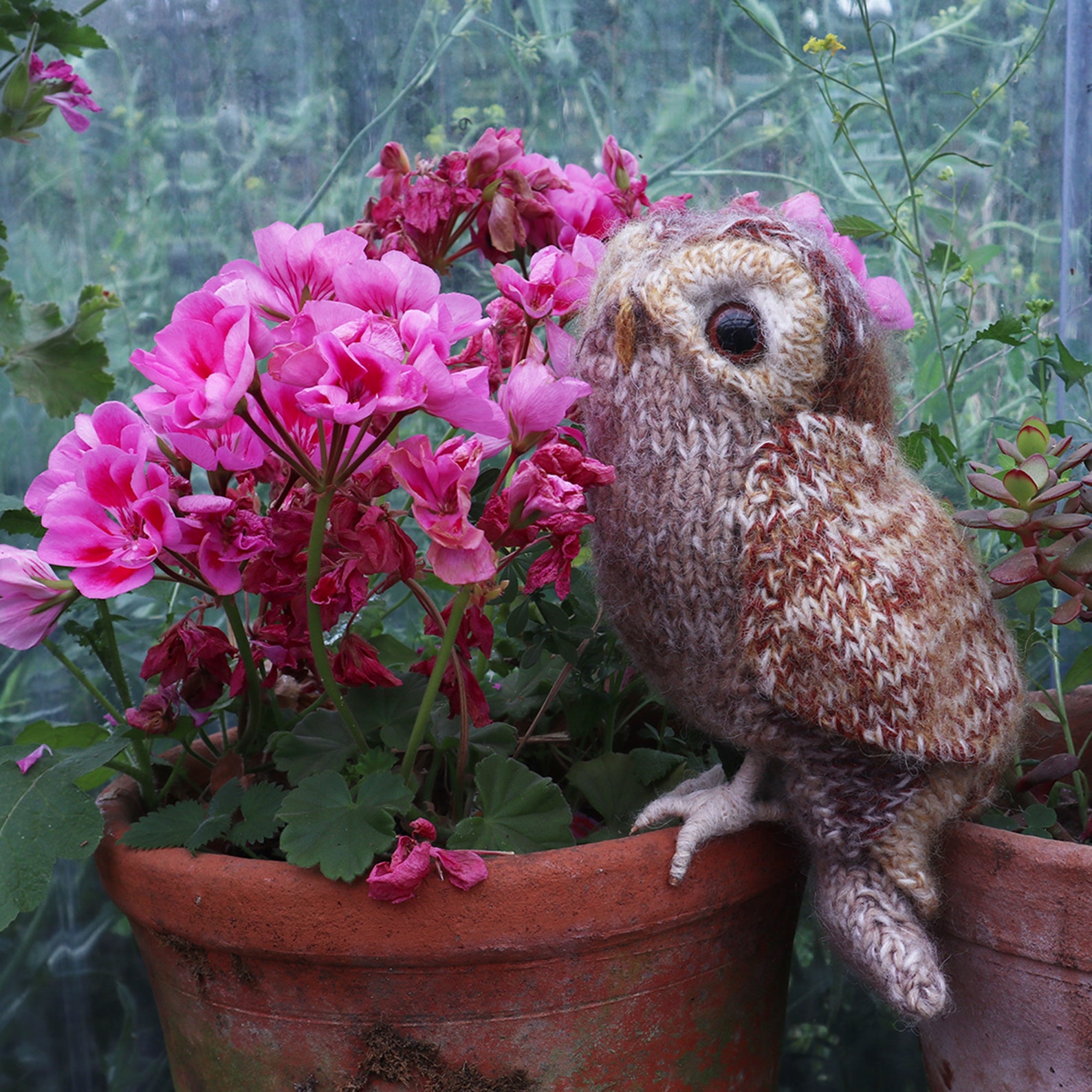SPECIAL OFFER Knitting Pattern Snowy Owl - Etsy