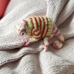 CHAMELEON & SWEATER - English Knitting Pattern - Etsy