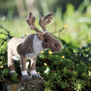 Tiny Reindeer - English Knitting Pattern - Etsy