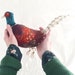 KNITTING PATTERN - Pheasant - Etsy