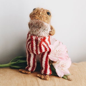 MR. TOAD - Knitting Pattern - Etsy
