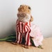 MR. TOAD - Knitting Pattern - Etsy