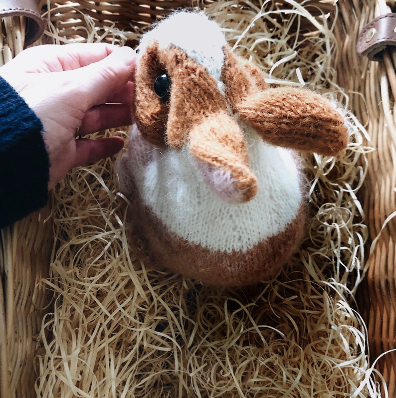 Cinnamon Dutch Rabbit KNITTING PATTERN - Etsy