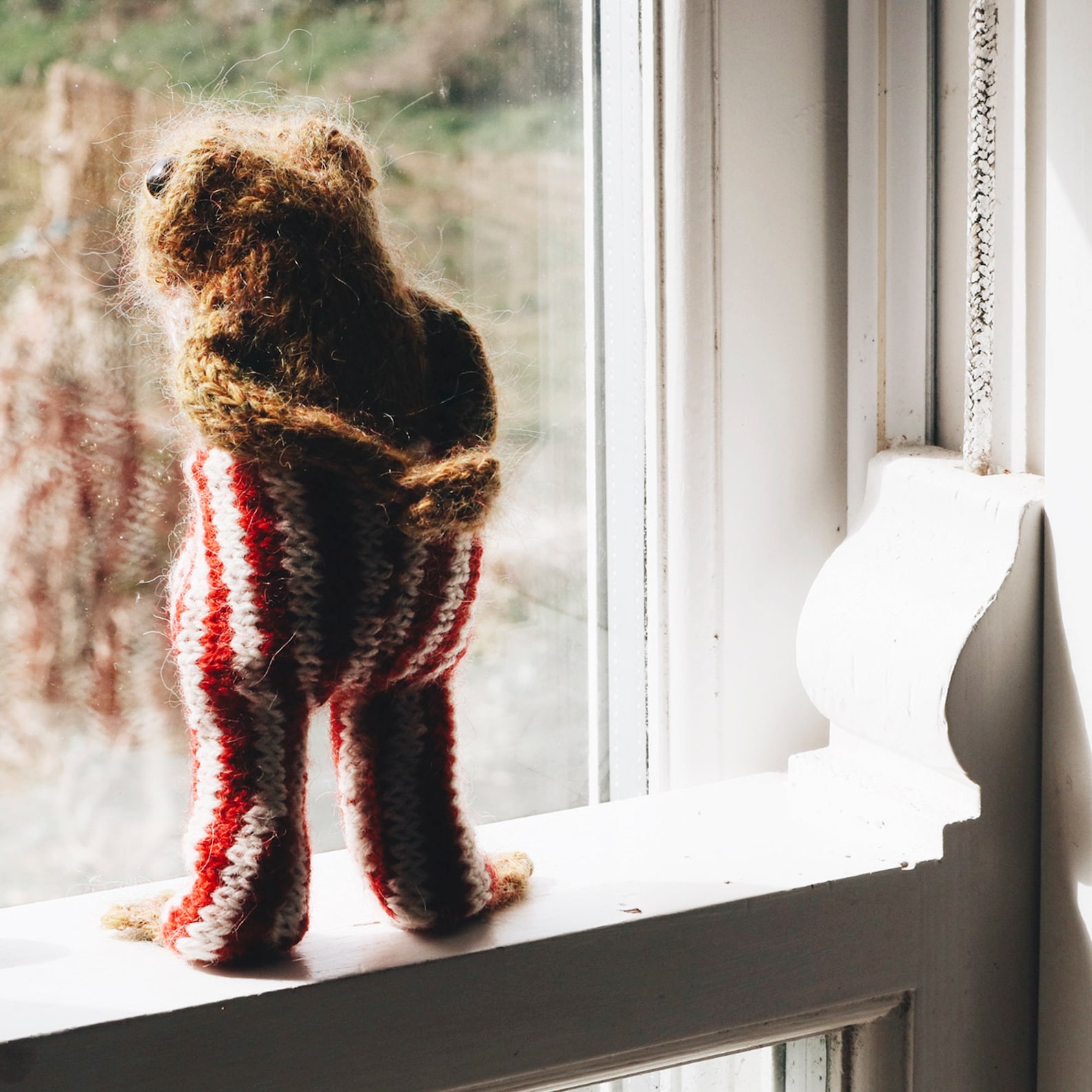 MR. TOAD Knitting Pattern - Etsy