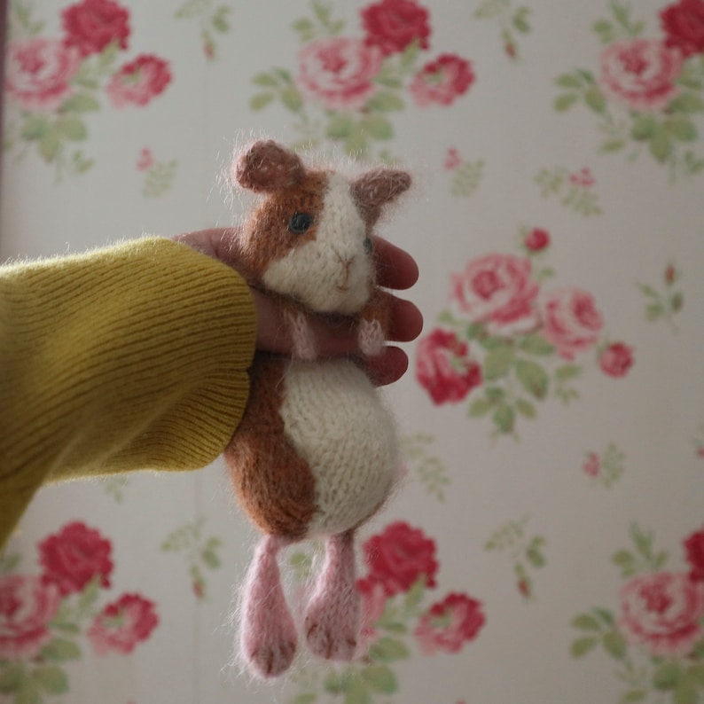 Guinea Pig KNITTING PATTERN - Etsy