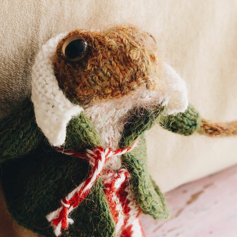 MR. TOAD Knitting Pattern - Etsy UK