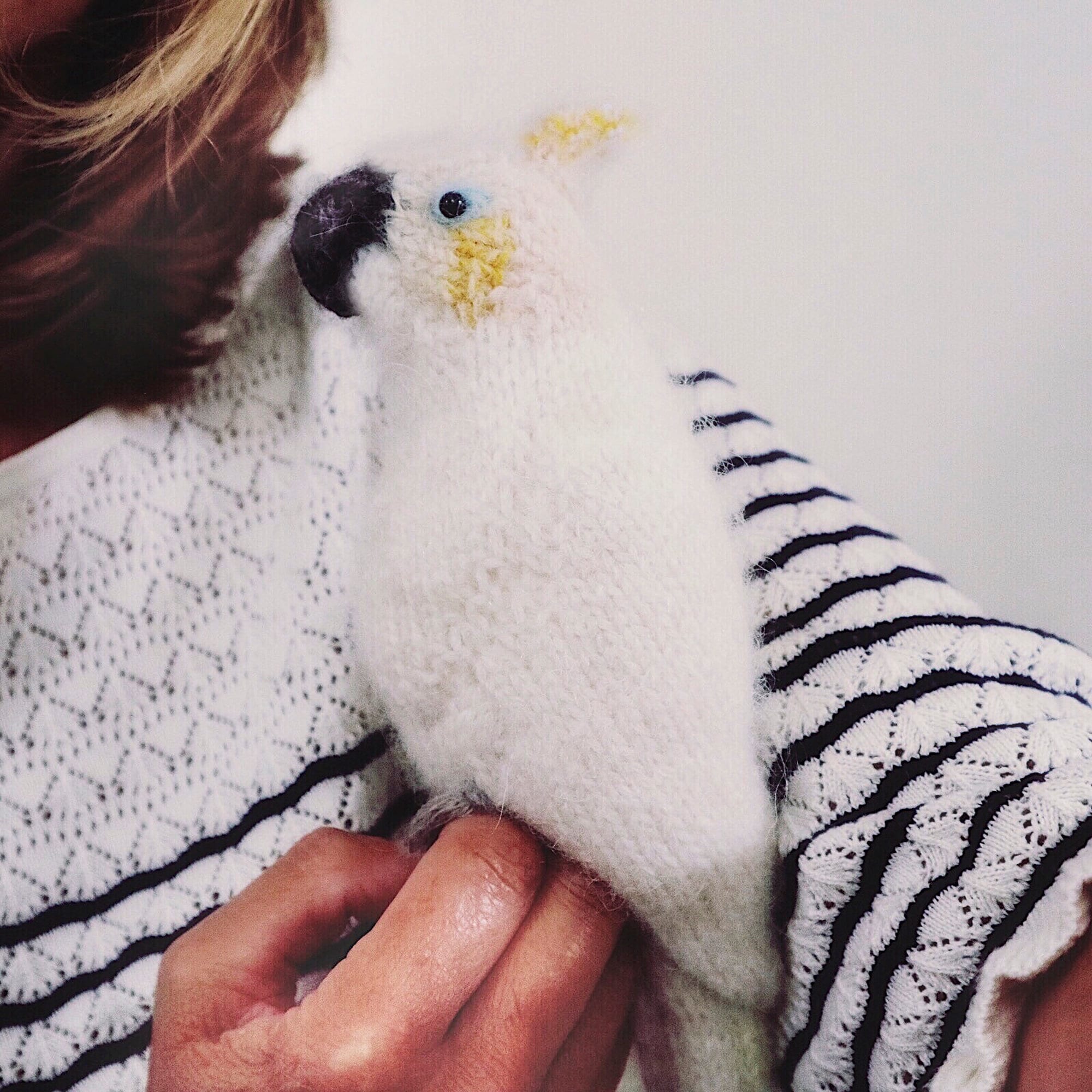 PARROT Knitting Pattern - Etsy UK